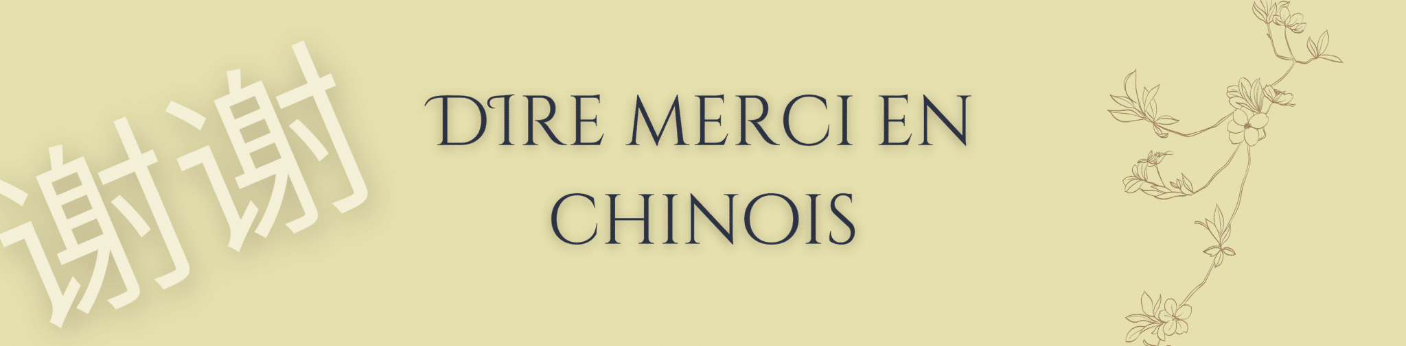 Dire merci en chinois, le vocabulaire essentiel – Easy Chinois